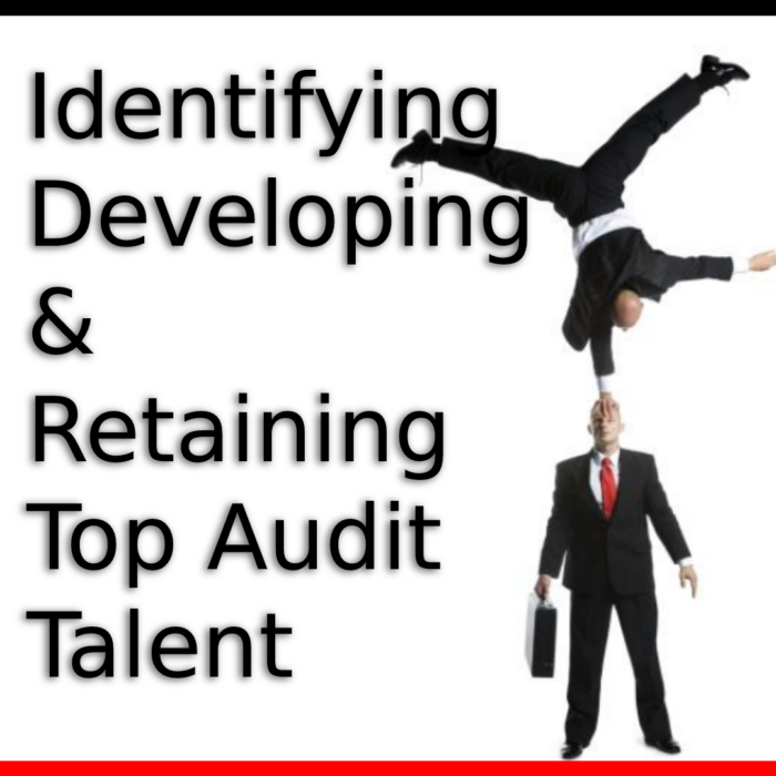 Courses | That Audit Guy